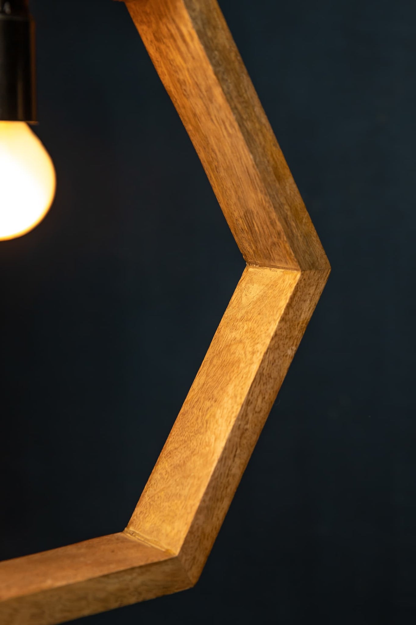 Hexagonal Pendant Light – Mi Casa Collective